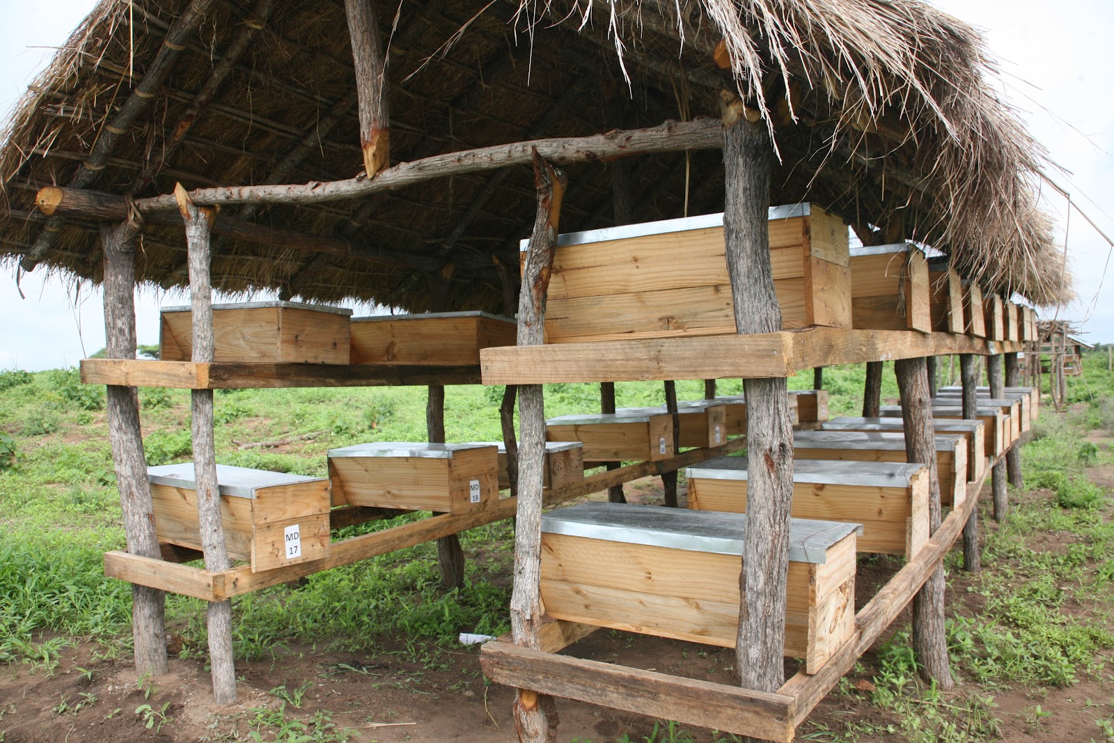 Fahamu Ufugaji Bora Wa Nyuki - KILIMO NA UFUGAJI