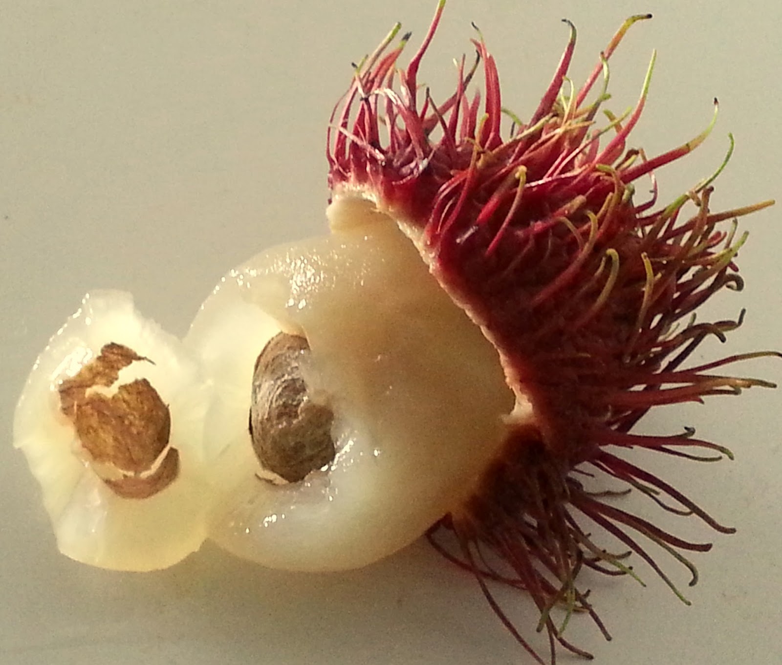 Annapurna: Rambutan and Banana Milk Shake Recipe