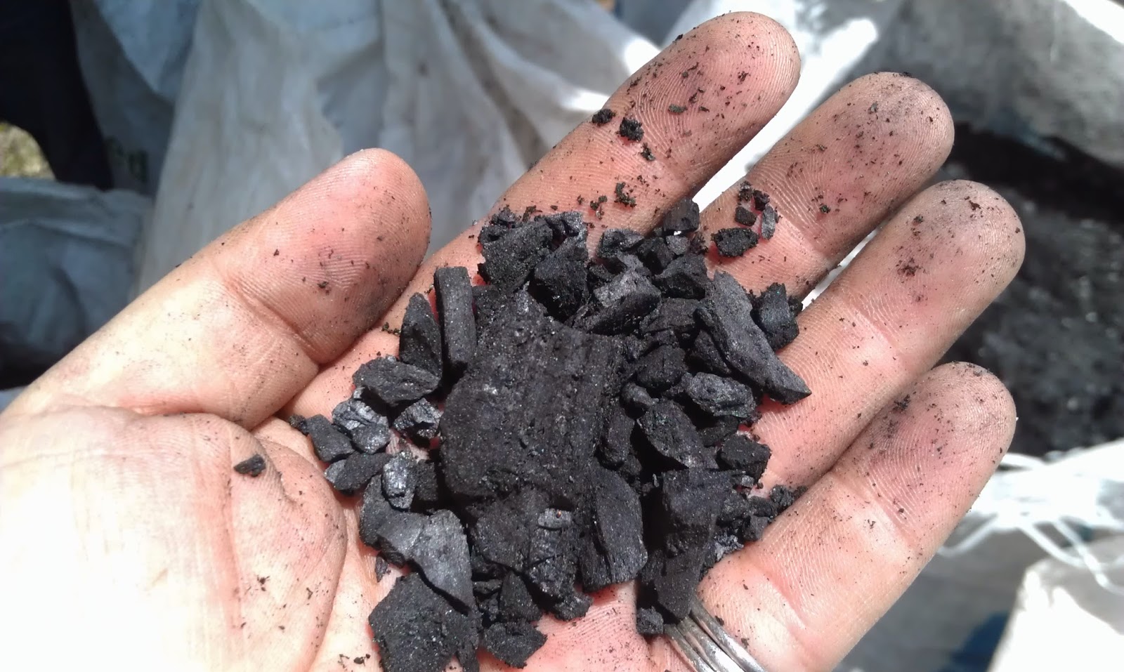 A biochar day at the coffee farm / Un dia de biocarbon en la finca de ...