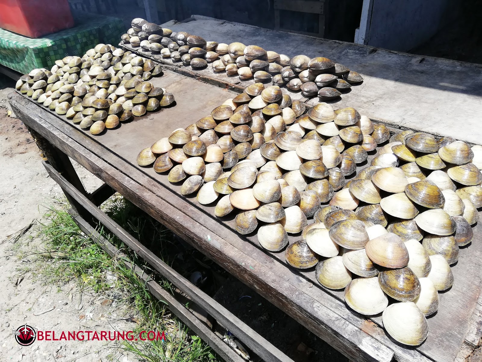 Kawasan Kelapa Bakar Sepanggar - historyploaty