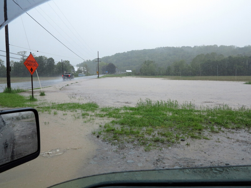 The Joyce Road Neighborhood: Too Much Rain, Too Little Gardening