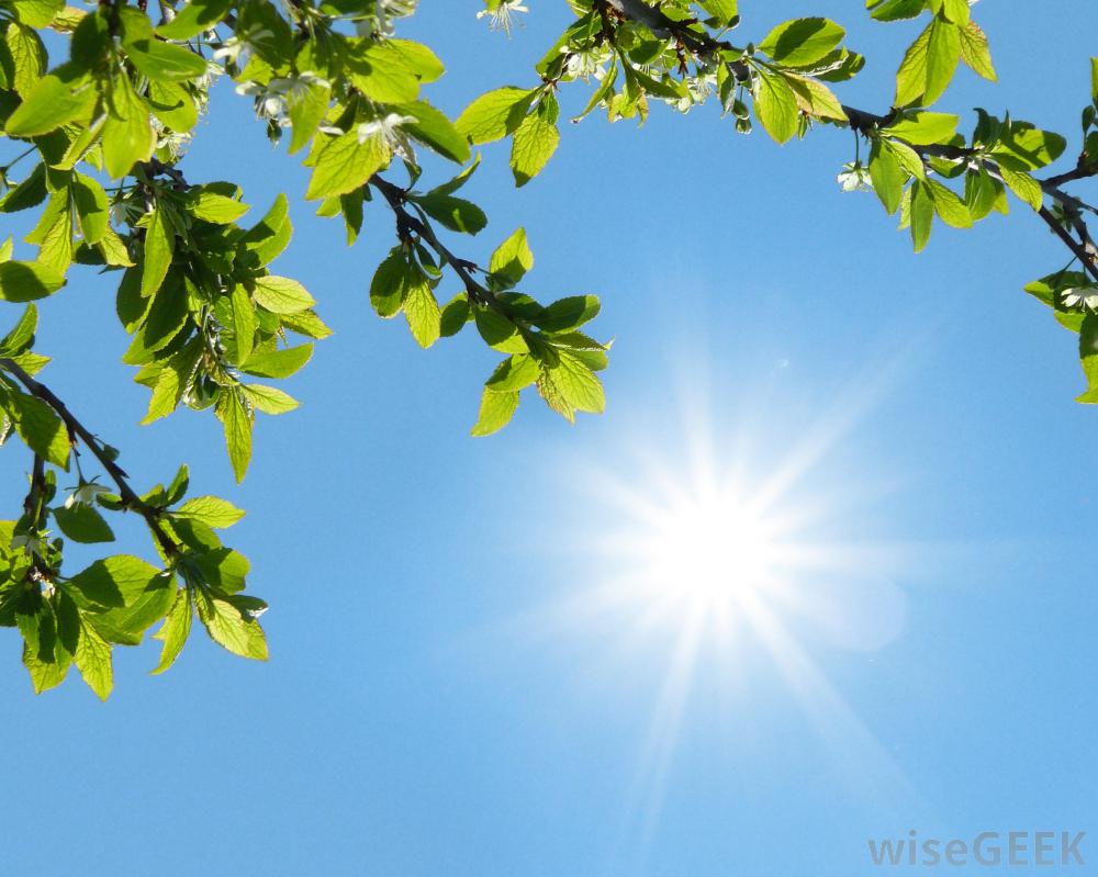 Victoria Weather & Climate: The Sunniest Month in Canadian History