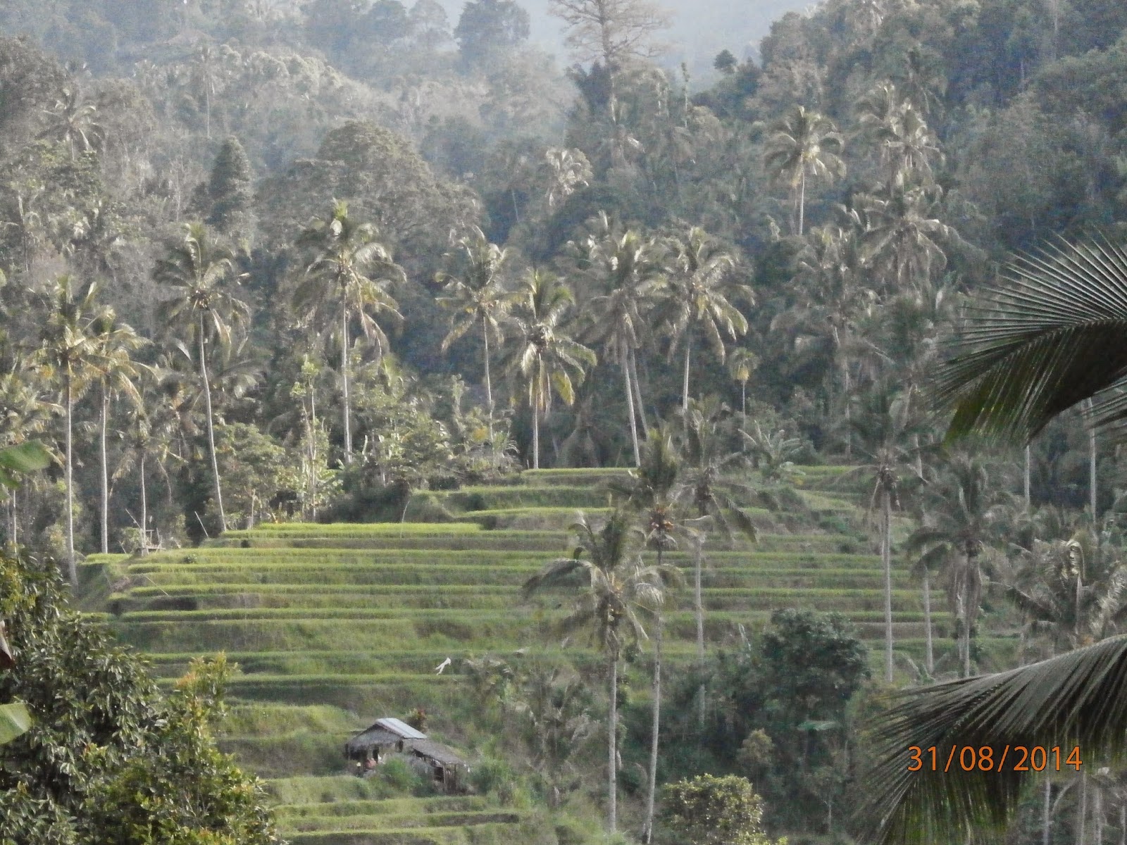 Lemukih Village