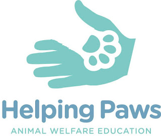 Chase The Rainbow: Helping Paws