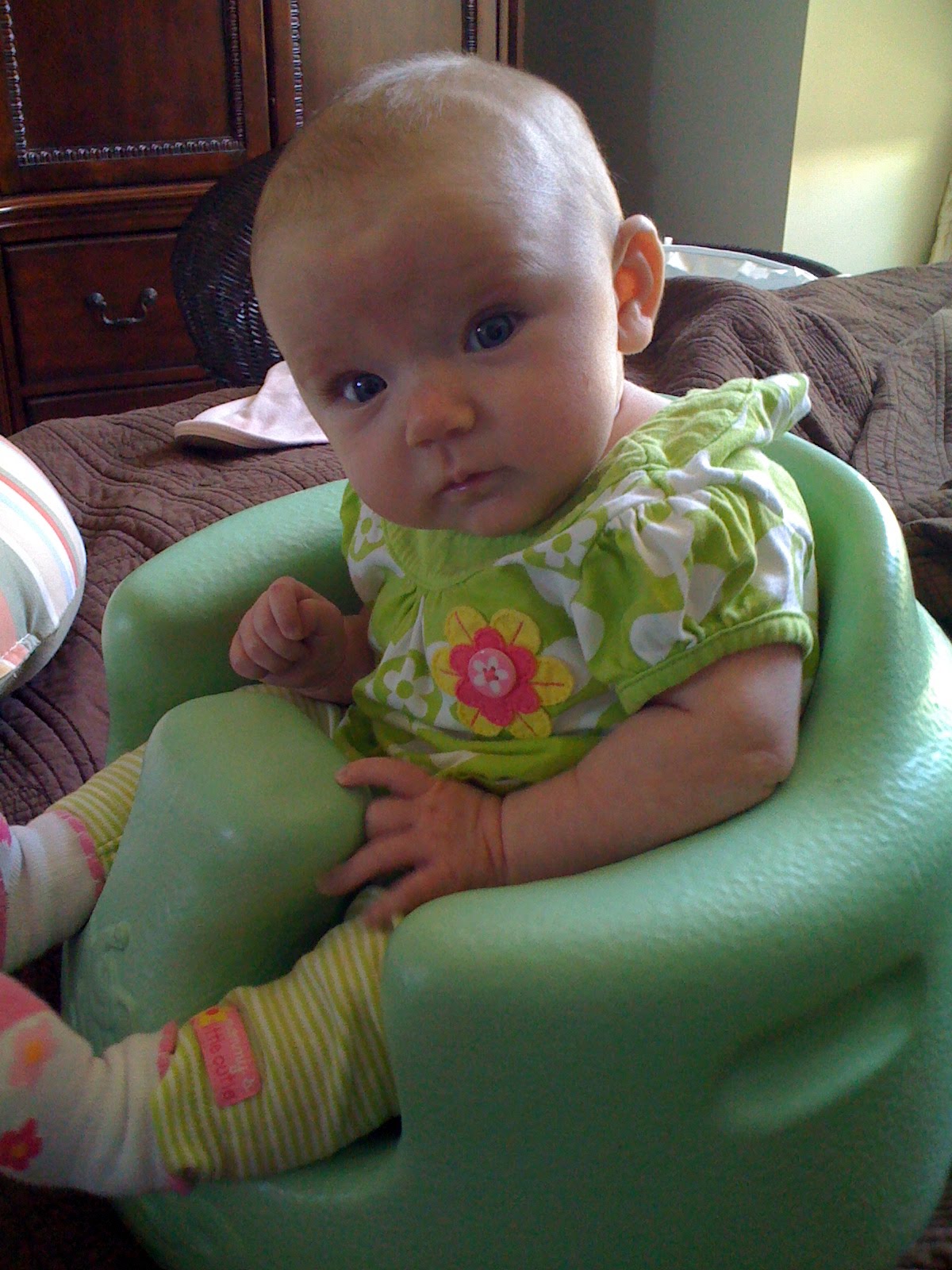 The (formerly) 30 Pound Cat: June 2011