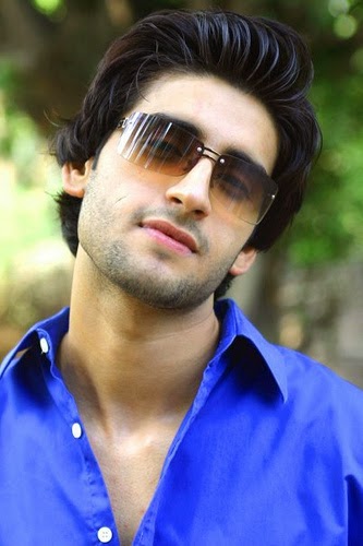 Top 5 Pakistani Male Actors in 2014