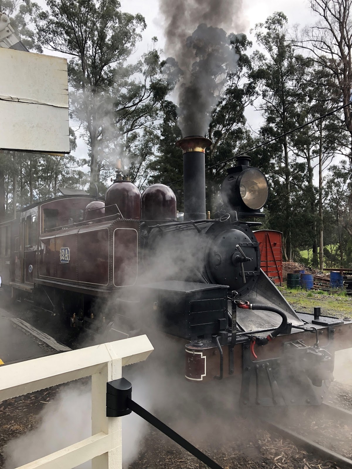 thisdannsworld: Day trip from Melbourne – Visit Dandenong Ranges ...