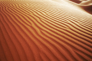 Mr. O'Brien's 2012-13 Period 4 AP Calculus: Mathematics of the Natural ...