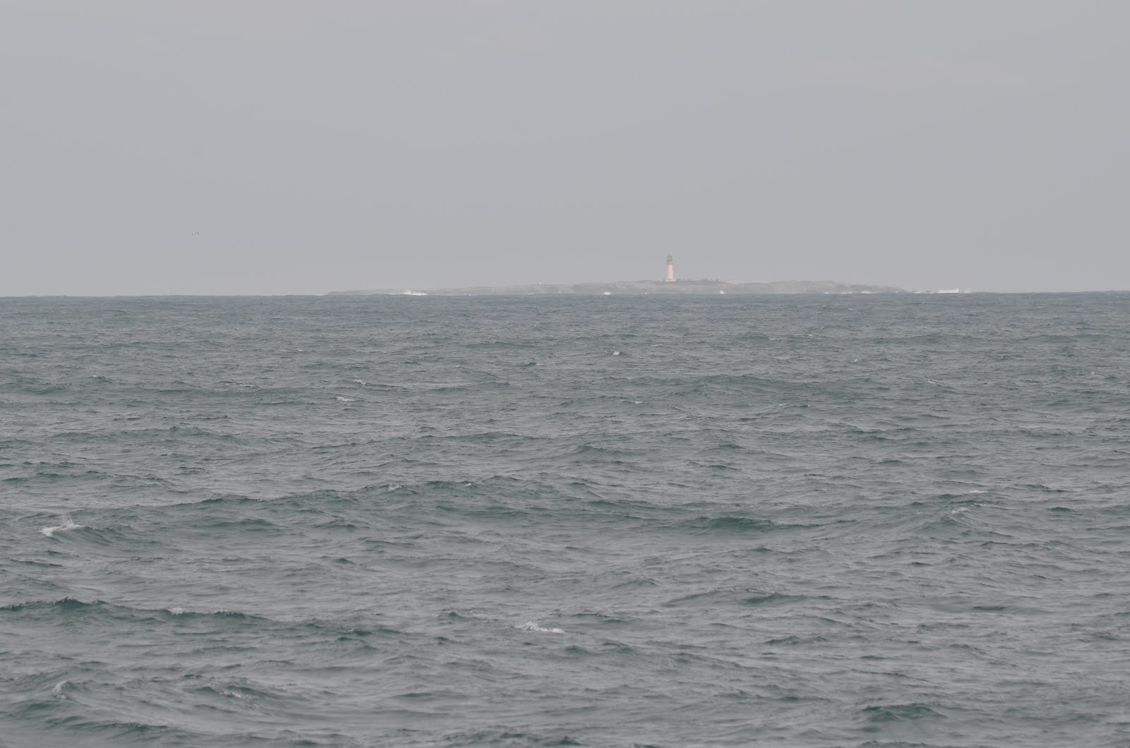 JNCC marine survey update: SCANS 3 - Setting the scene