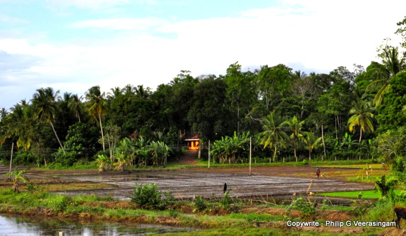 Images of Sri Lanka on blogspot.com: The Southern Highway, Kottawa to ...
