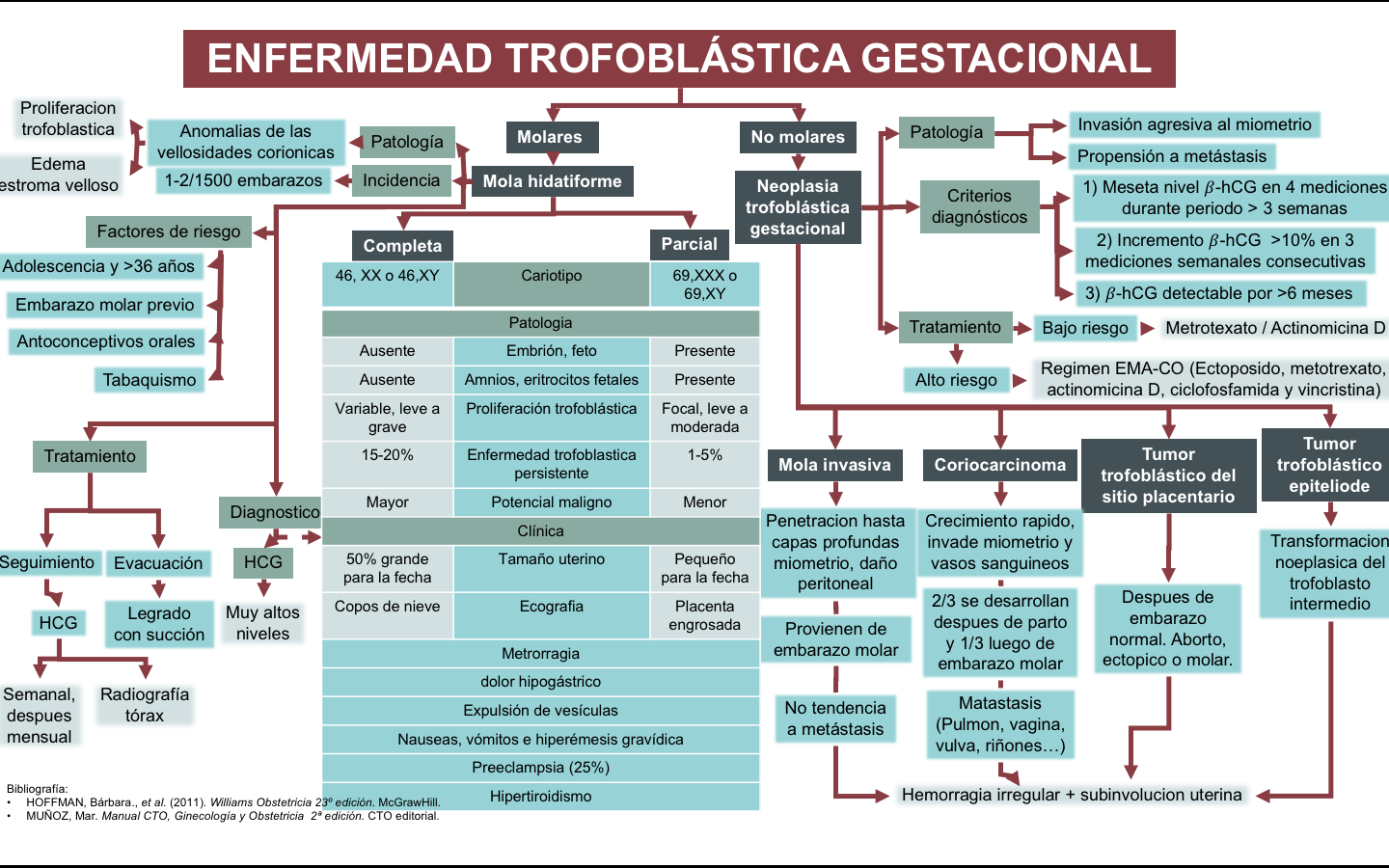 BLOG DE EVIDENCIAS DE LA MATERIA DE GINECOLOGÍA Y OBSTETRICIA ...