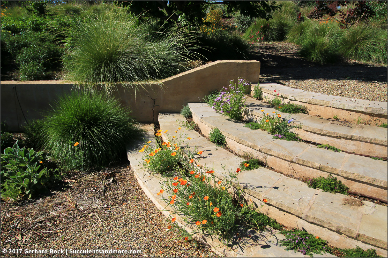 Gardening splendor on two acres in the country