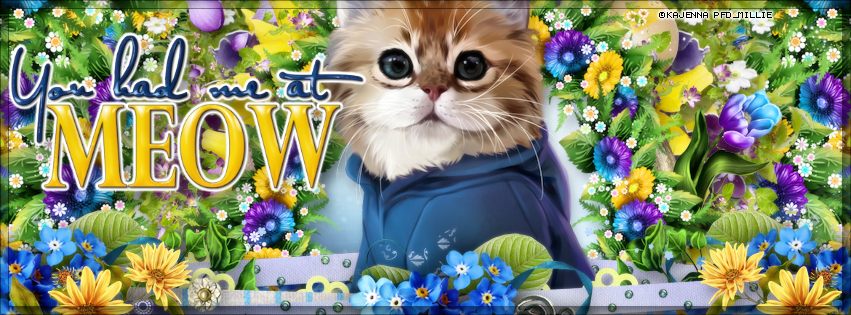 Millie's PSP Madness: SNAGGABLE TIMELINE SET FEATURING Hayden by ...