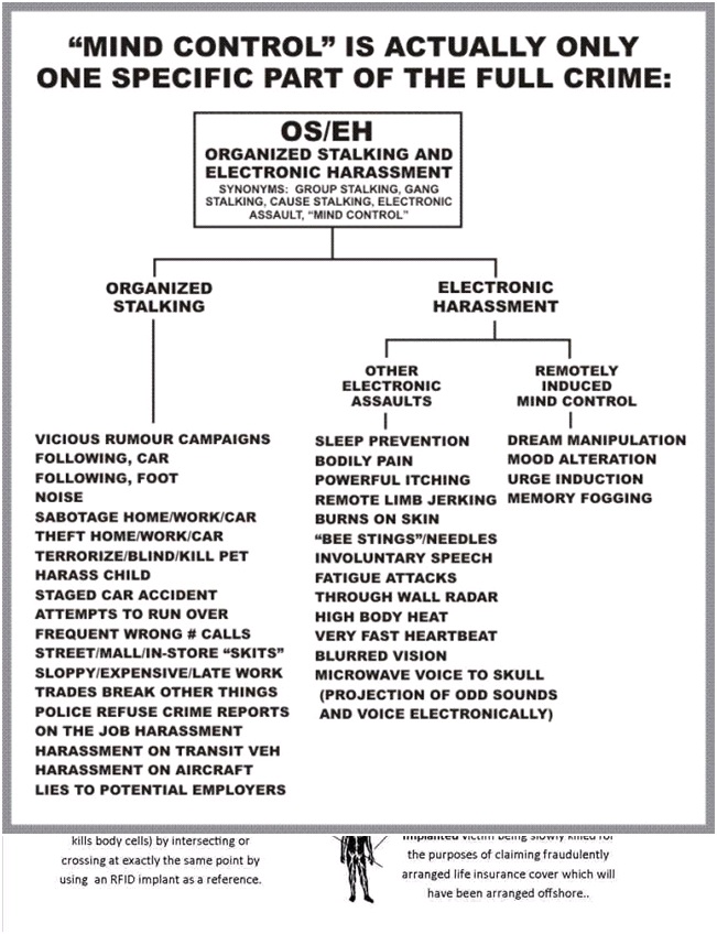 ELECTRONIC HARASSMENT V2K