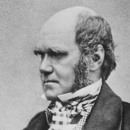 Journeys Home: Darwin the Botanist