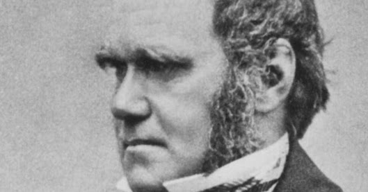 Journeys Home: Darwin the Botanist