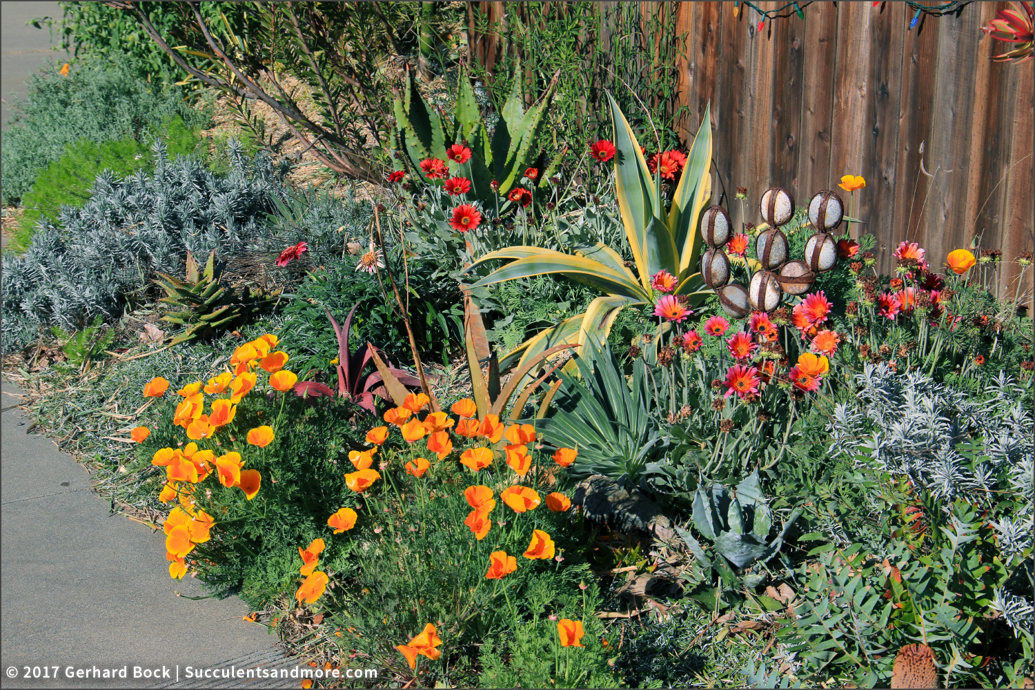 TGIF: a few spring pictures to celebrate the end of a tedious work week