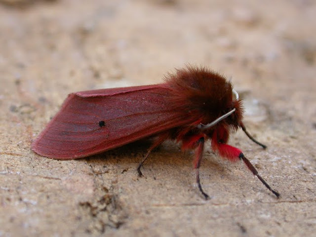 Meet Malta: Natural beauties