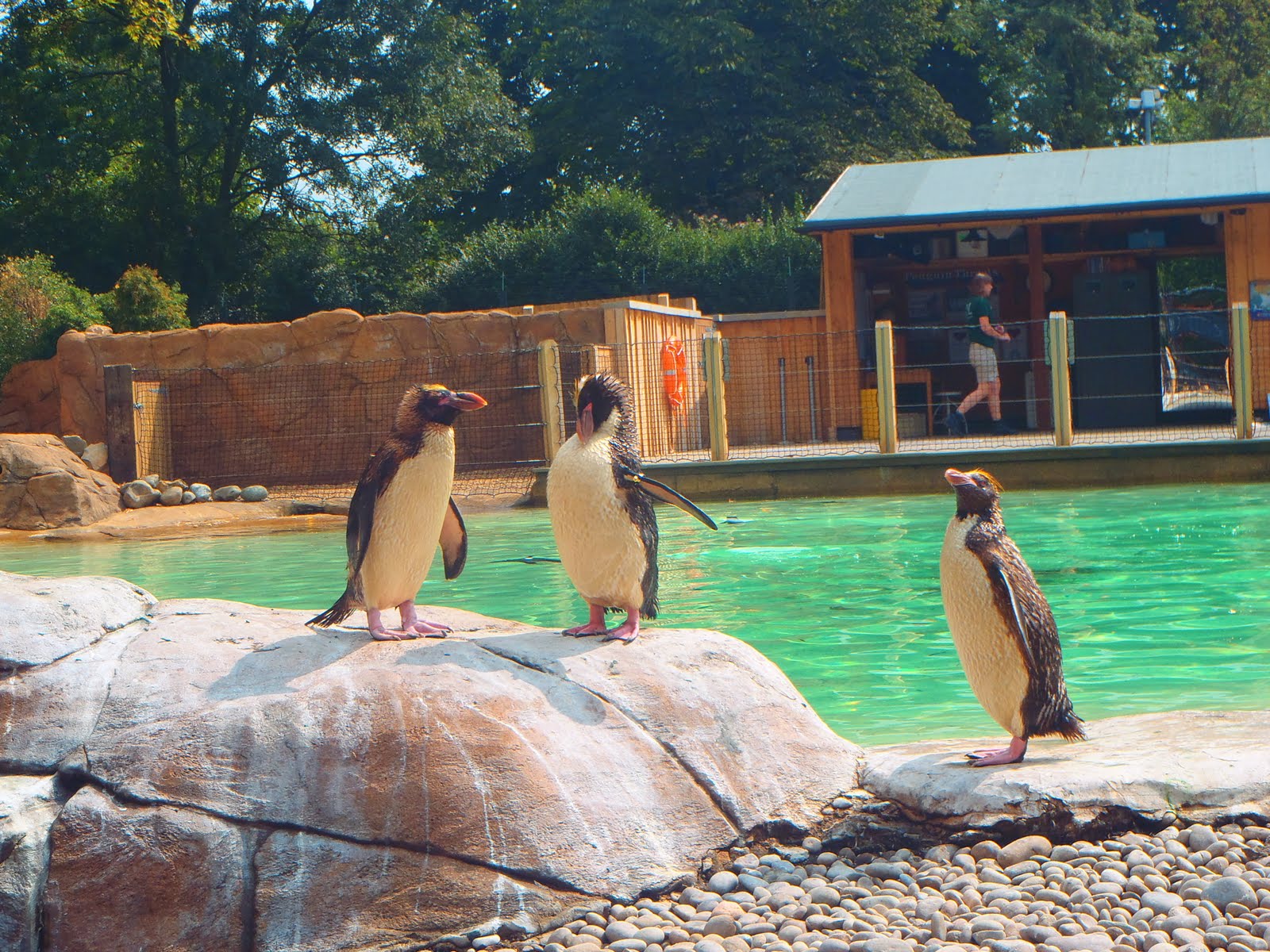 Accessible?: ZSL London Zoo