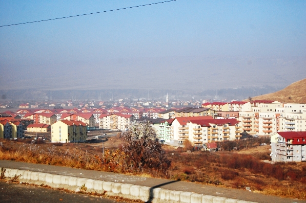 ECONOMIE SI COMERT | Comuna FLORESTI