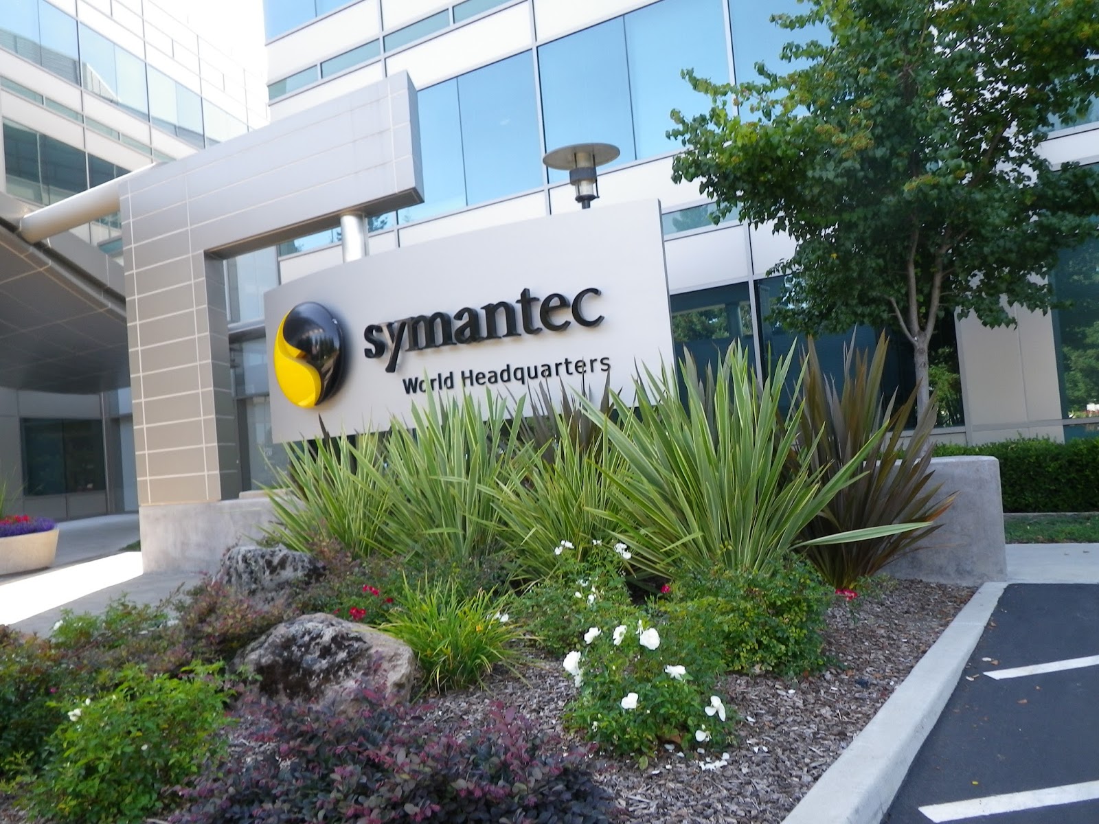 Information Technology: SYMANTEC COMPANY IS HIRING FRESHERS AND ...