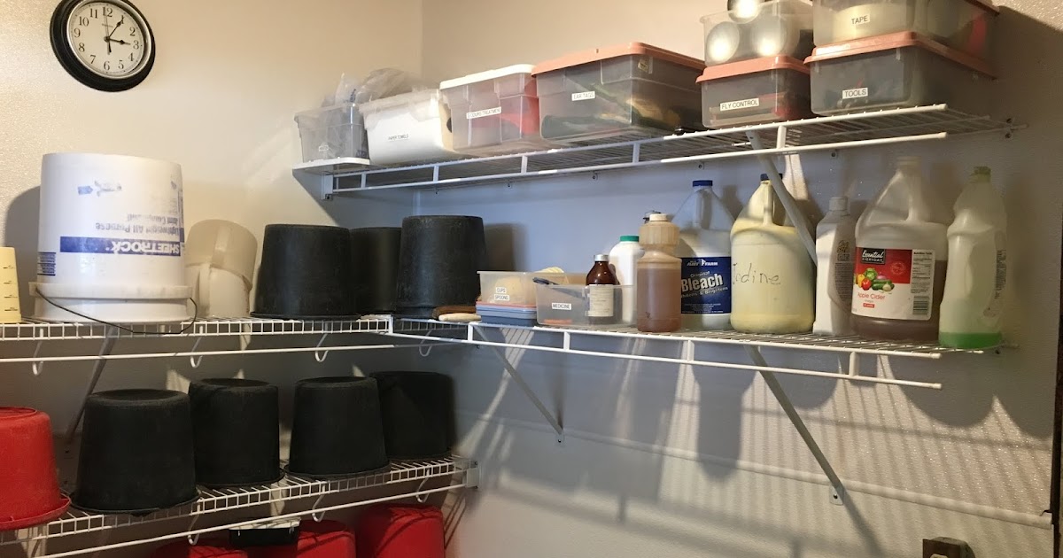 My Barnyard View : There's Always A Project On The Farm