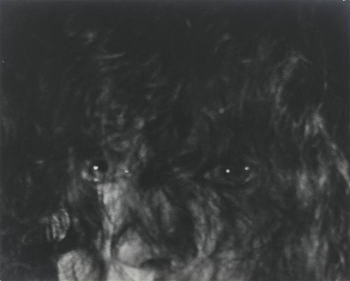 real life is elsewhere: jacques-andré boiffard