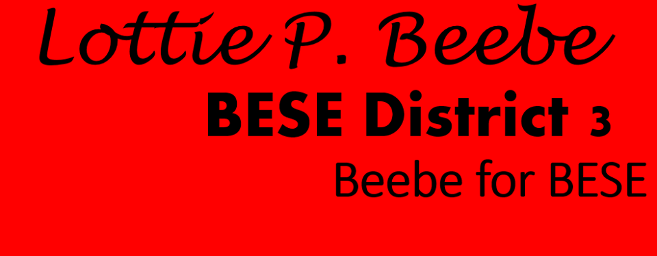 Flip BESE: District 3