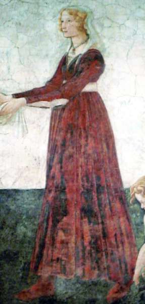 1480s Italian Gamurra