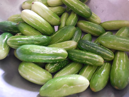 Tondekai Curry - Ivy Gourd Curry