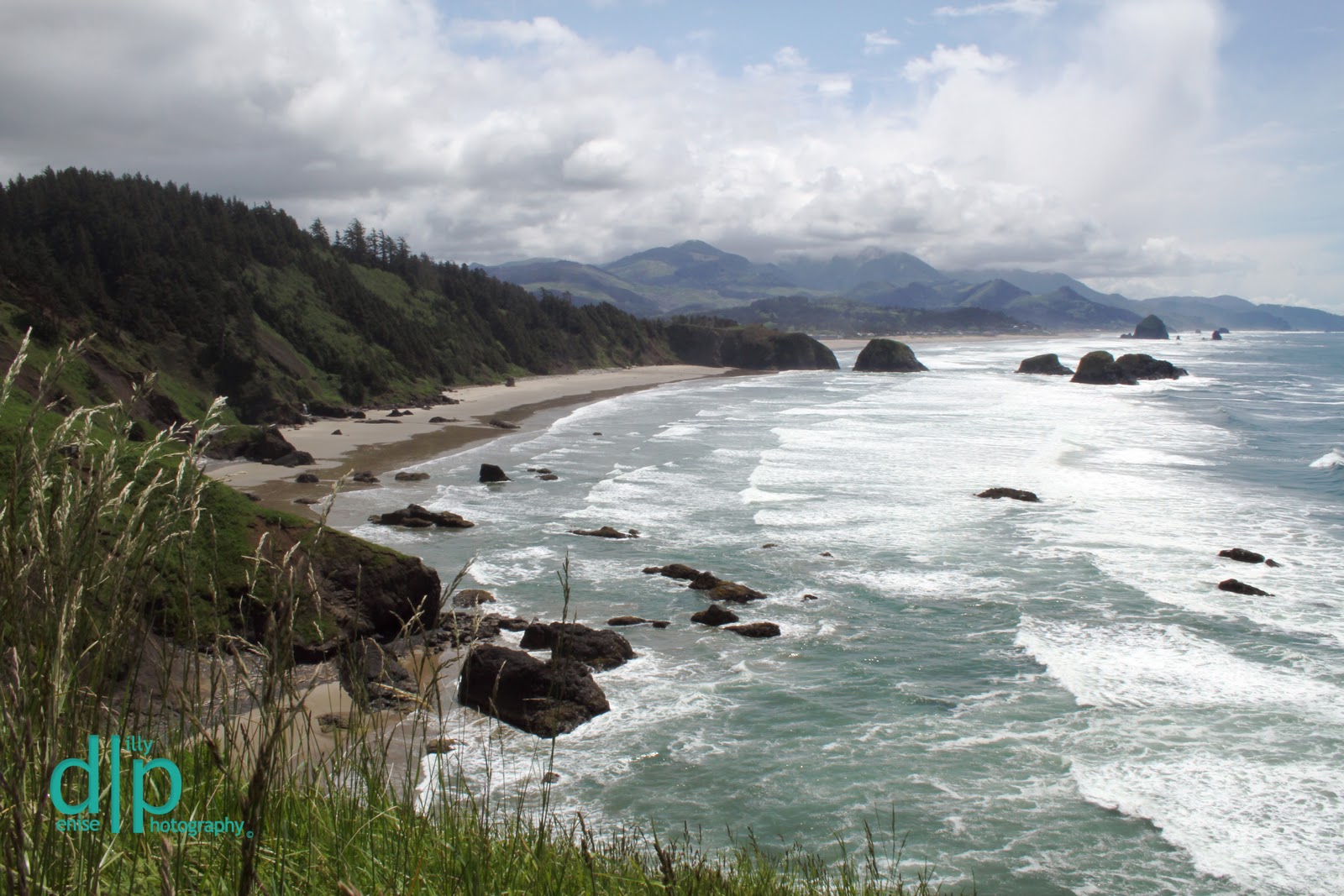 Denise Lilly Photography: Oregon Coast