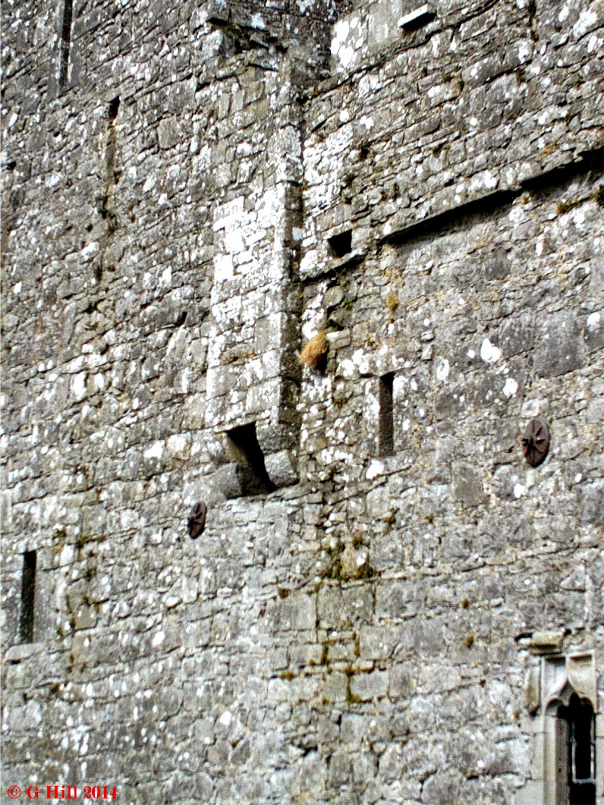 Ireland In Ruins: Taghmon Church & Castle Co Westmeath