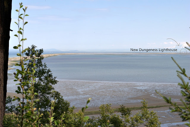 The Bumblebeez: The Unfinished Hike...Dungeness Spit, Sequim WA
