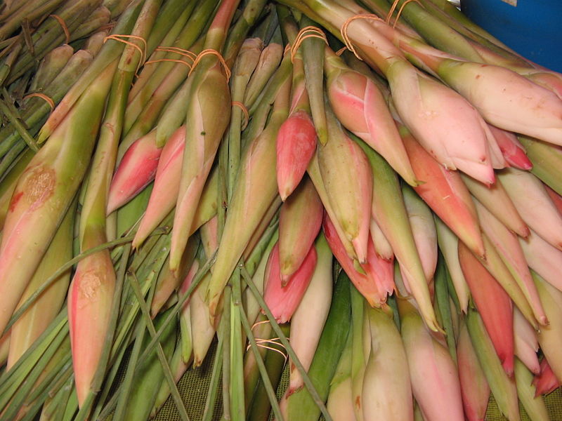 Corat Coret Ryeta Benz.....: Bunga Kantan & Daun Kesum...apa ...