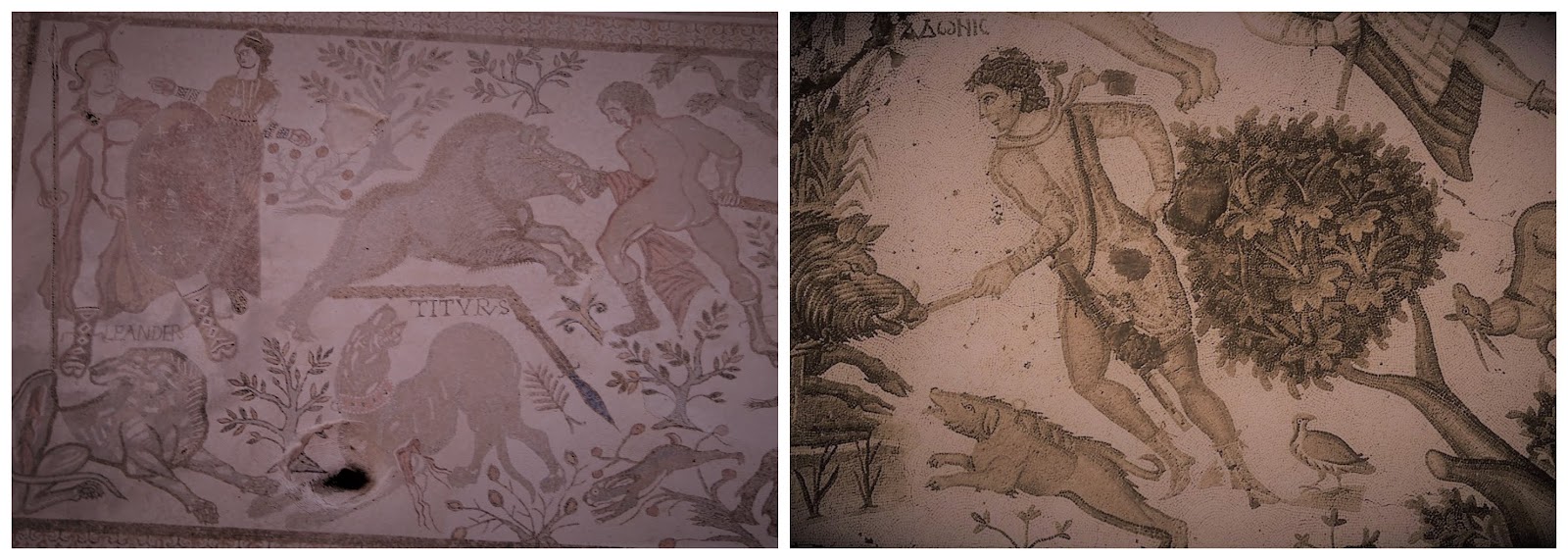 DOMVS ROMANA: Tessellatum, mosaicos en la antigua Roma