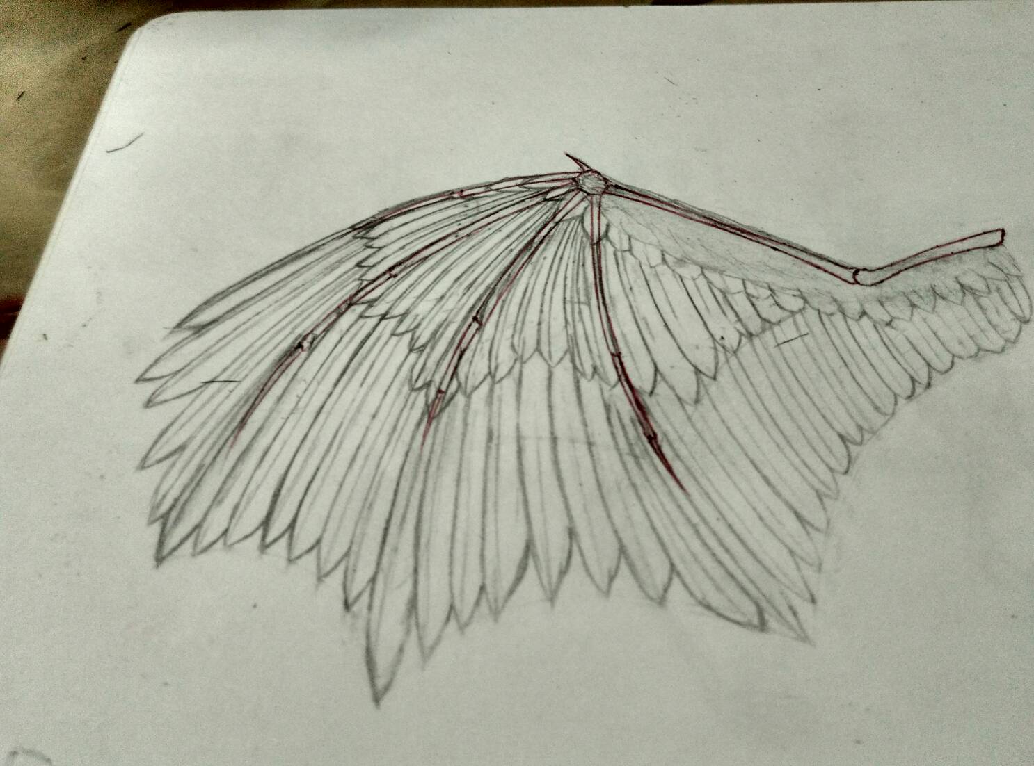 Drawing 101: Demon + Angel Wing [Ioji's Wings] - Owlion Chronicles