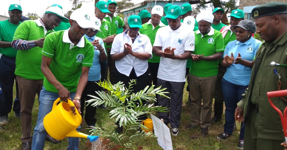 Thika Town Today - 3T: THIWASCO secures a sh. 900 million funding from ...