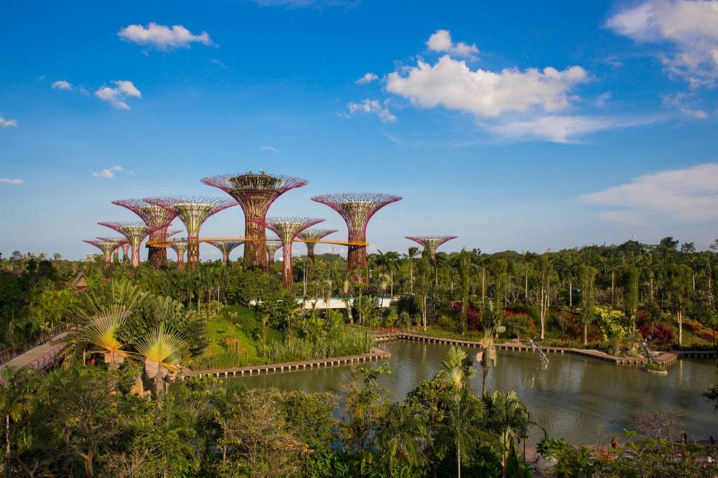 The Supertrees of Singapore ~ Kuriositas