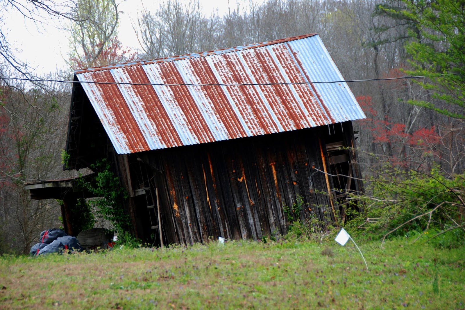 Forgotten Georgia: Old Shed in Cherokee County