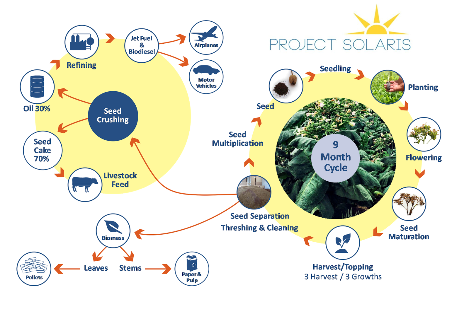 Project Solaris: Activities