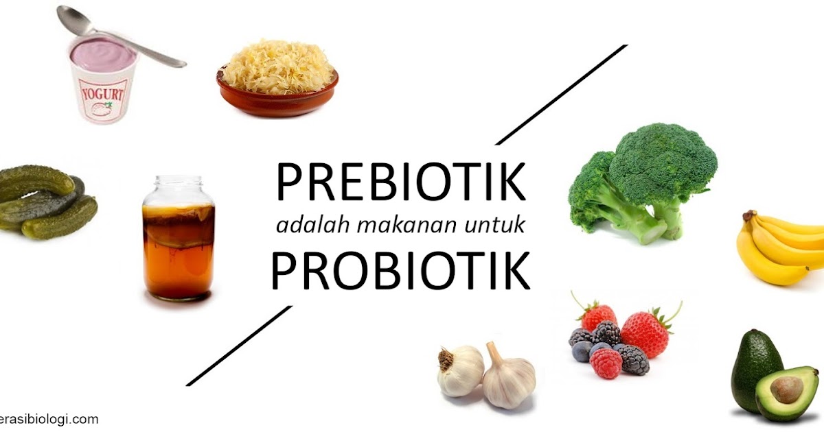 Pengertian Probiotik dan Prebiotik - Biologizone