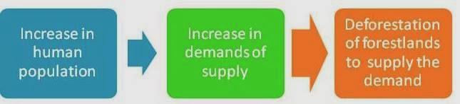 Deforestation: Case study in Malaysia: Causes