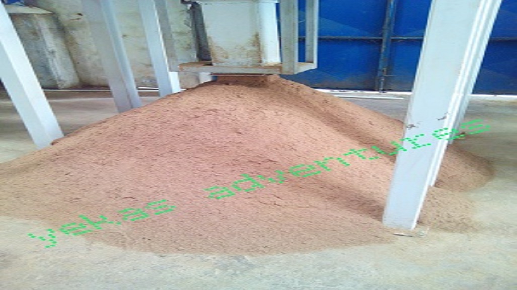 YEKA'S ADVENTURES: RICE FARMING IN ABAKALIKI