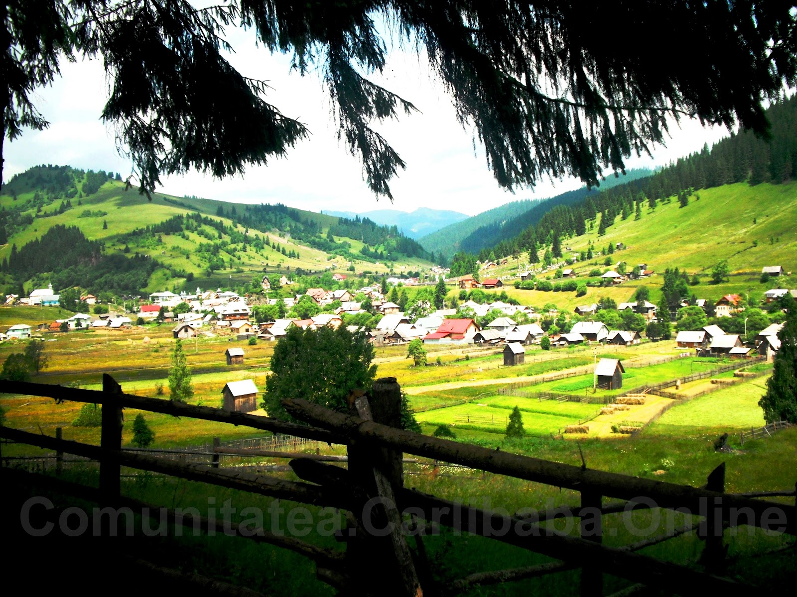 Info.Carlibaba.Bucovina.Online: CARLIBABA – printre cele mai frumoase ...