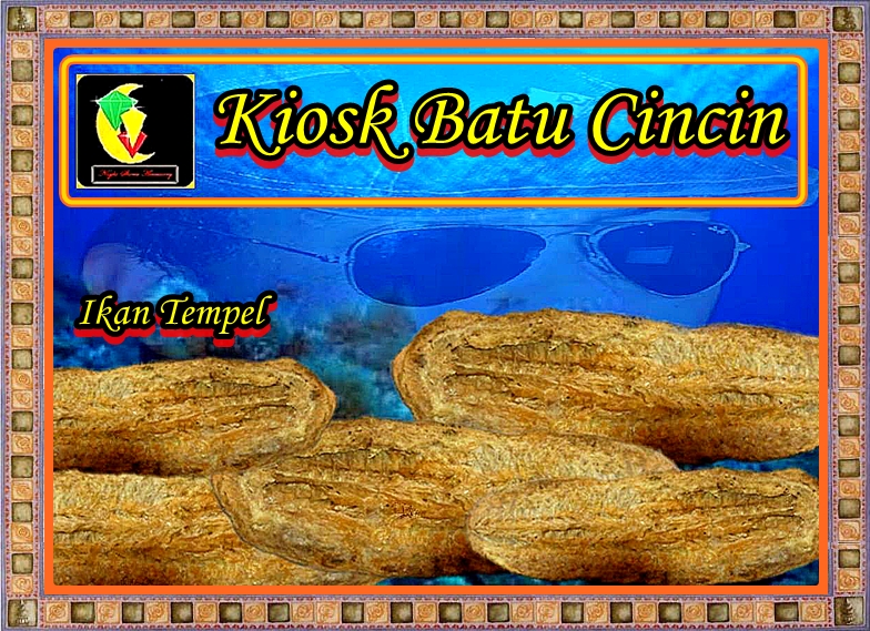 Kiosk Batu Cincin: KHASIAT KAYU YANG TERSIRAT DAN JENISNYA.