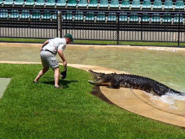 Off to Sea the Wizard: Australia Zoo...Crikey!