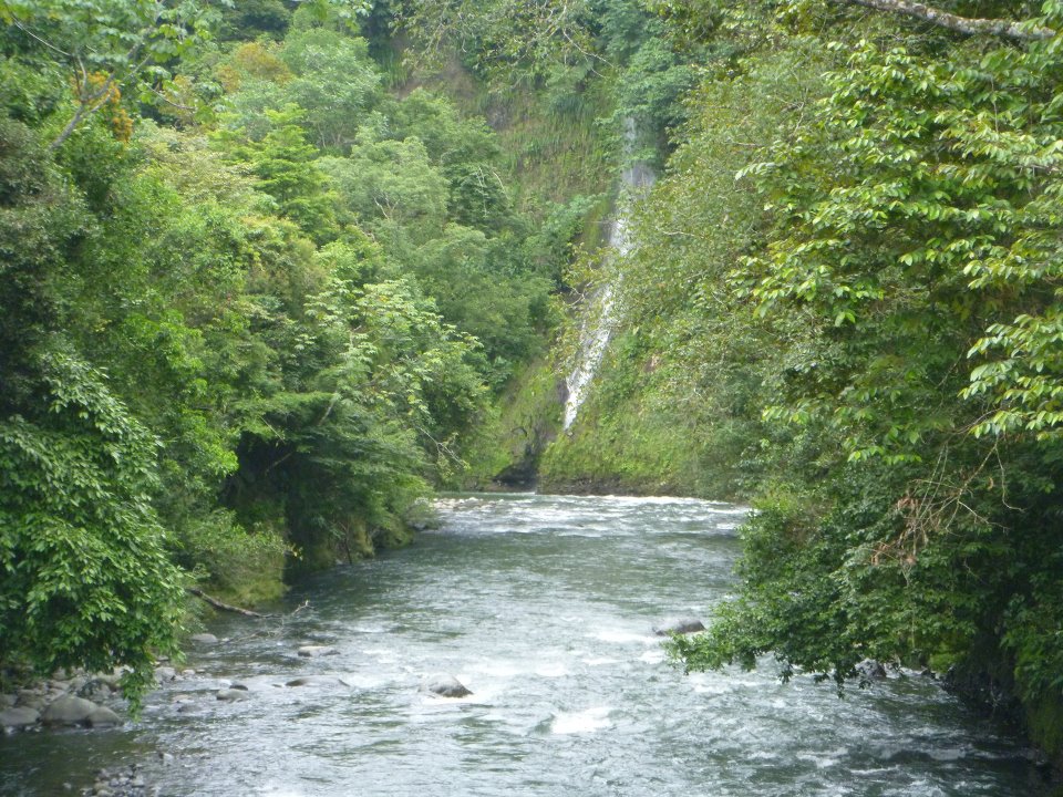 Culturama: REMONTANDO LOS CAUCES DEL GARICHE...