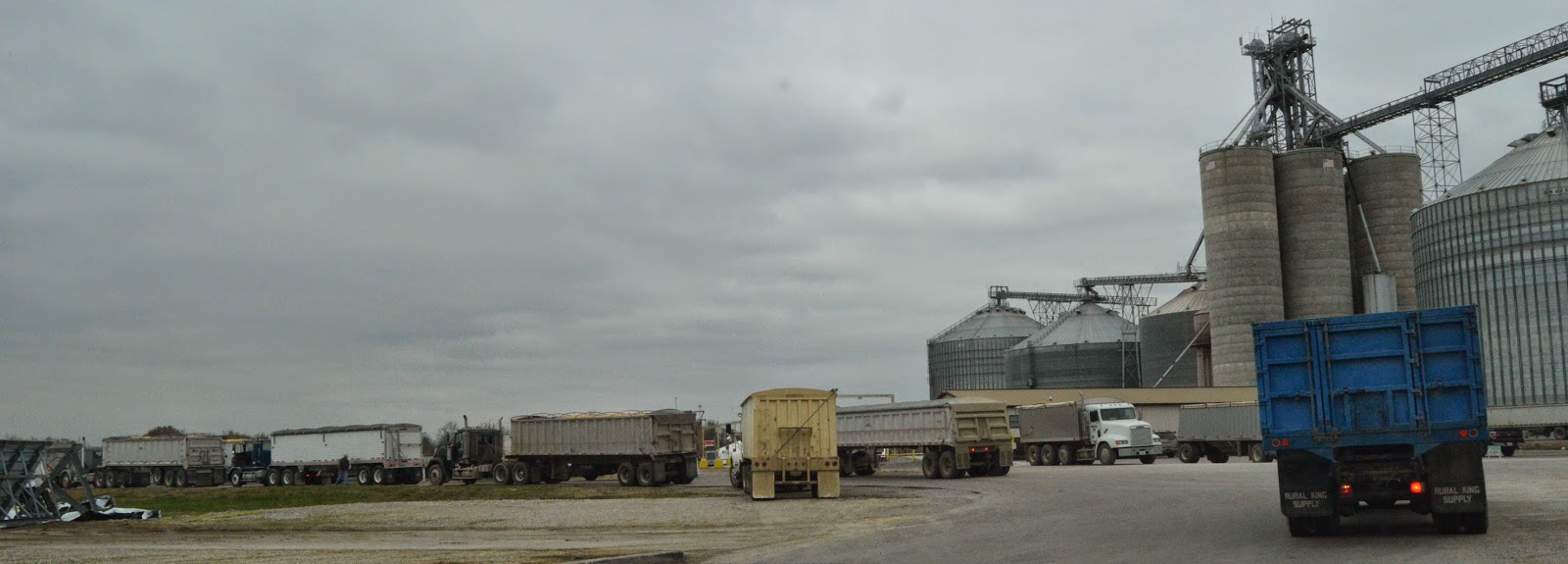Towns and Nature: Olney, IL: CGB Grain Elevator, Rewritten