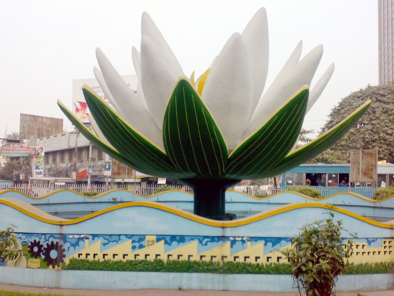 Flowers of Bangladesh
