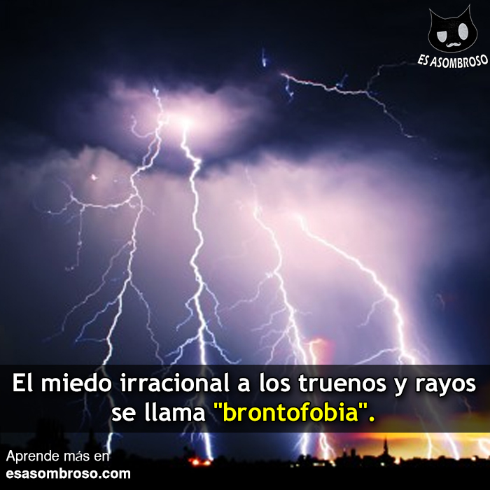 Es Asombroso: Brontofobia: Miedo a los truenos.
